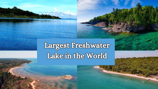 15 Largest Freshwater Lake in the World in 2024