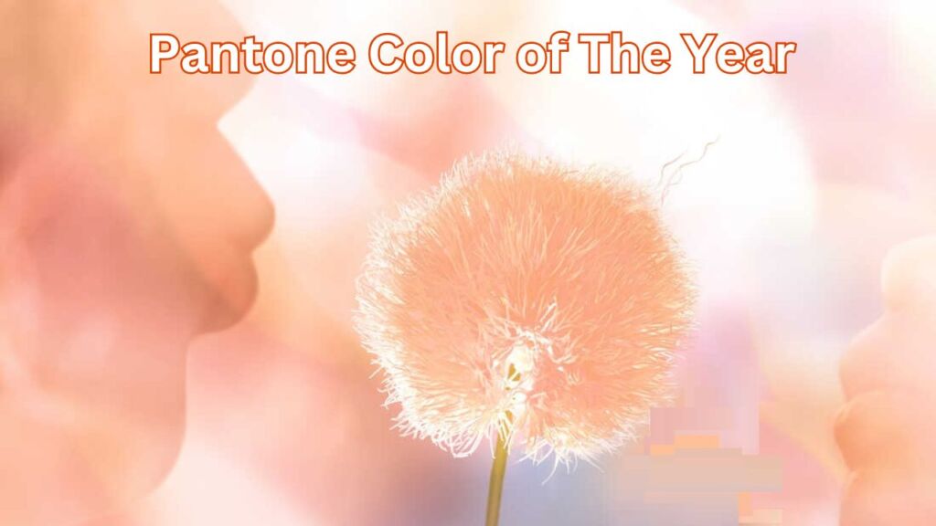 Pantone Color of The Year 2024 - How It Influences Design and Style?