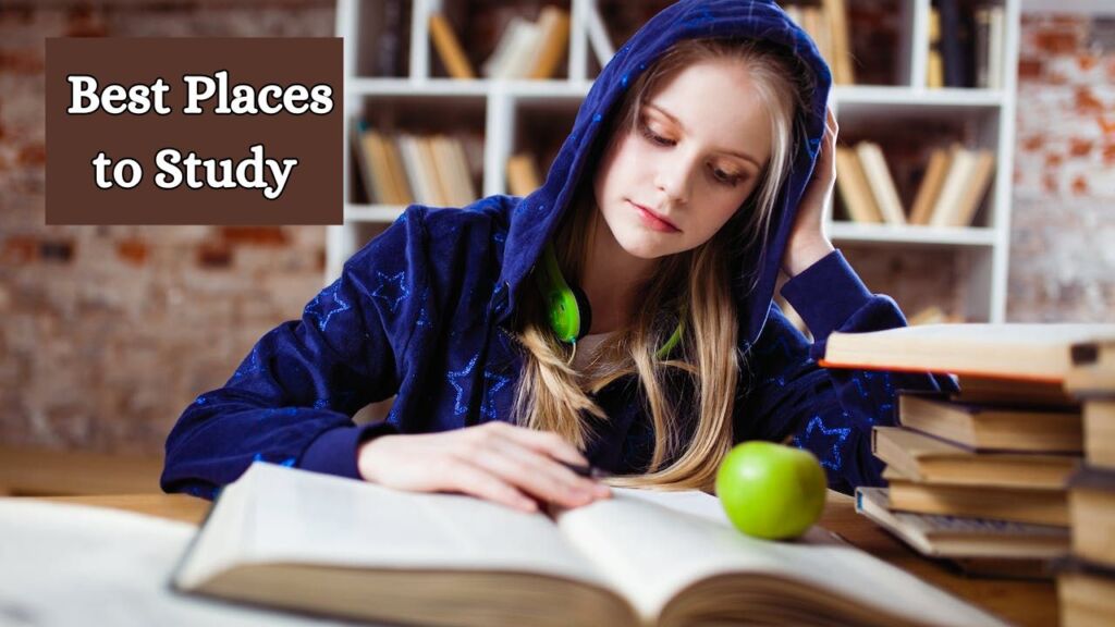 20 Best Places to Study for Every Learner