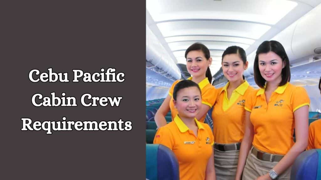 Cebu Pacific Cabin Crew Requirements for 2024