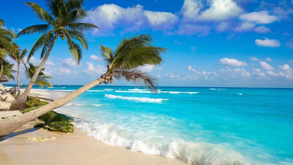 What is the Main Attraction of Playa Del Carmen? [Geography And Climate]