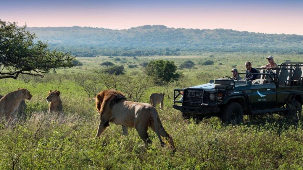 The 5 Best Safari Destinations from the United Kingdom