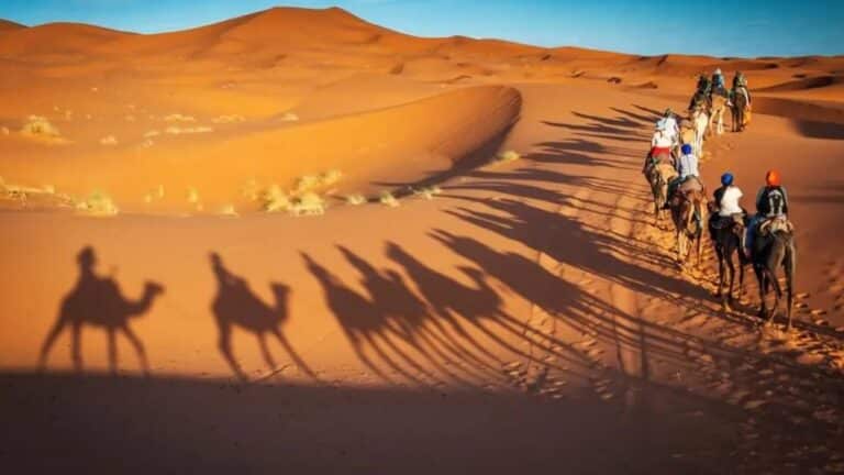 The Best Desert Adventures in Saudi Arabia: From Sand Dunes to Starry ...