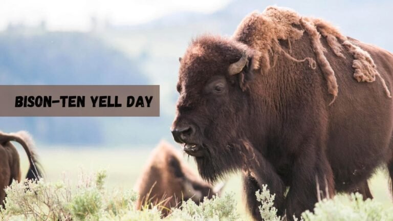 Bison-ten Yell Day 2025 (Tuesday, September 2nd)