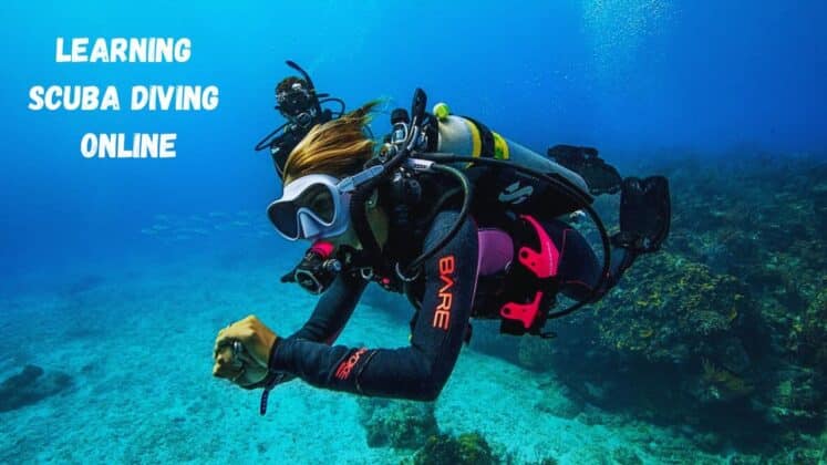 PADI eLearning: A Complete Guide to Learning Scuba Diving Online