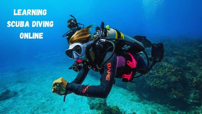 PADI eLearning: A Complete Guide to Learning Scuba Diving Online